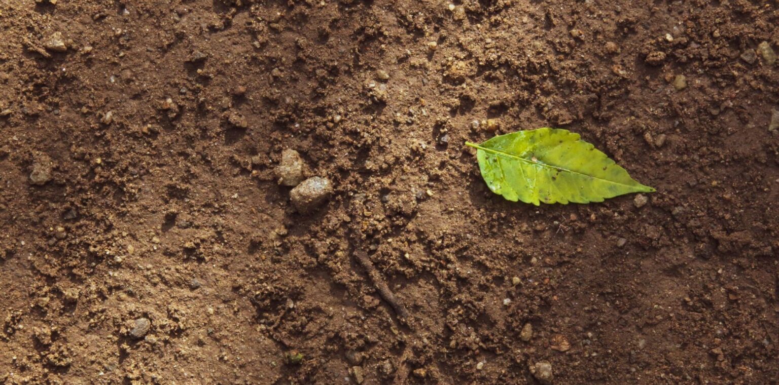 Choosing the Best Foundations for Different Soil Types - The Ground ...